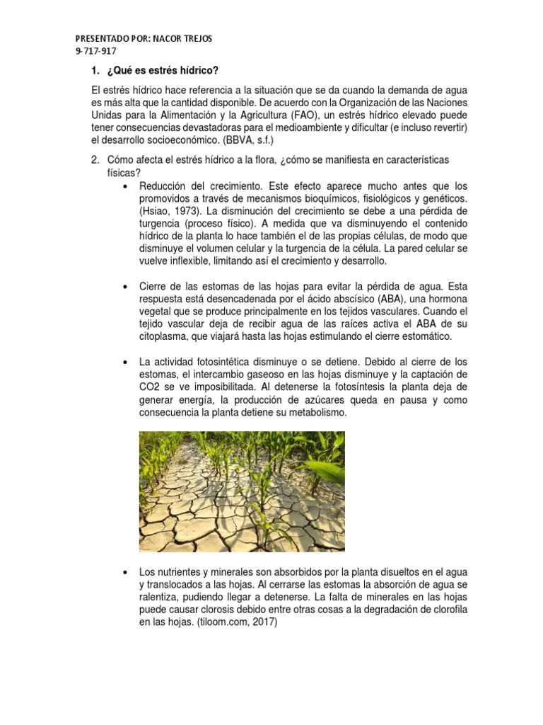 Qué Es Estrés Hídrico Pdf