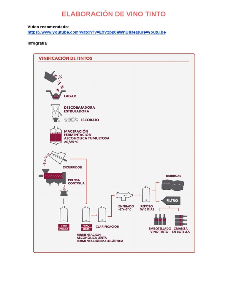 9 - Elaboracion de Vino Tinto | PDF