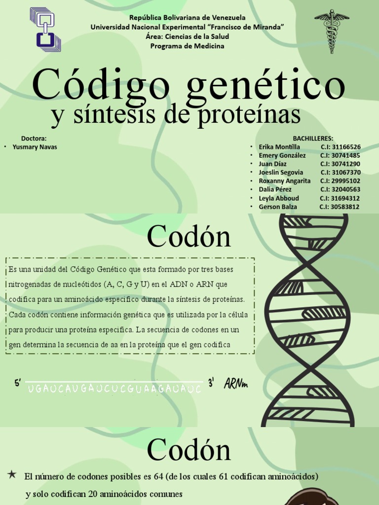 Codigo Genetico y Sintesis de Proteinas | PDF | Codigo genetico ...