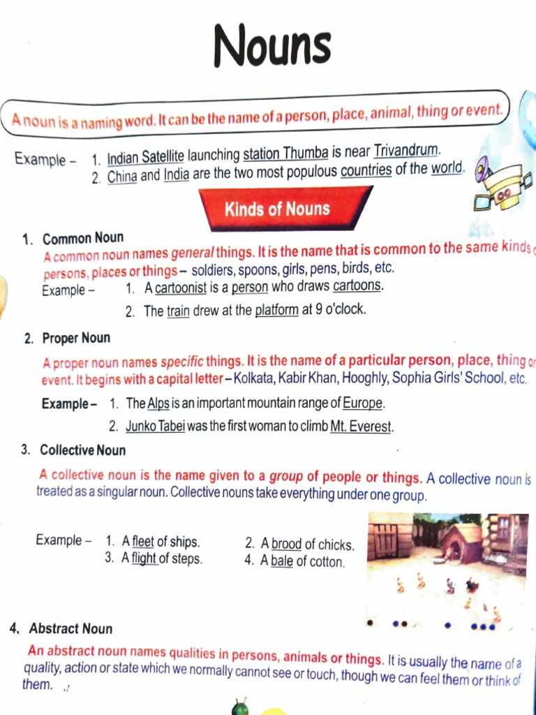 Nouns | PDF | Noun