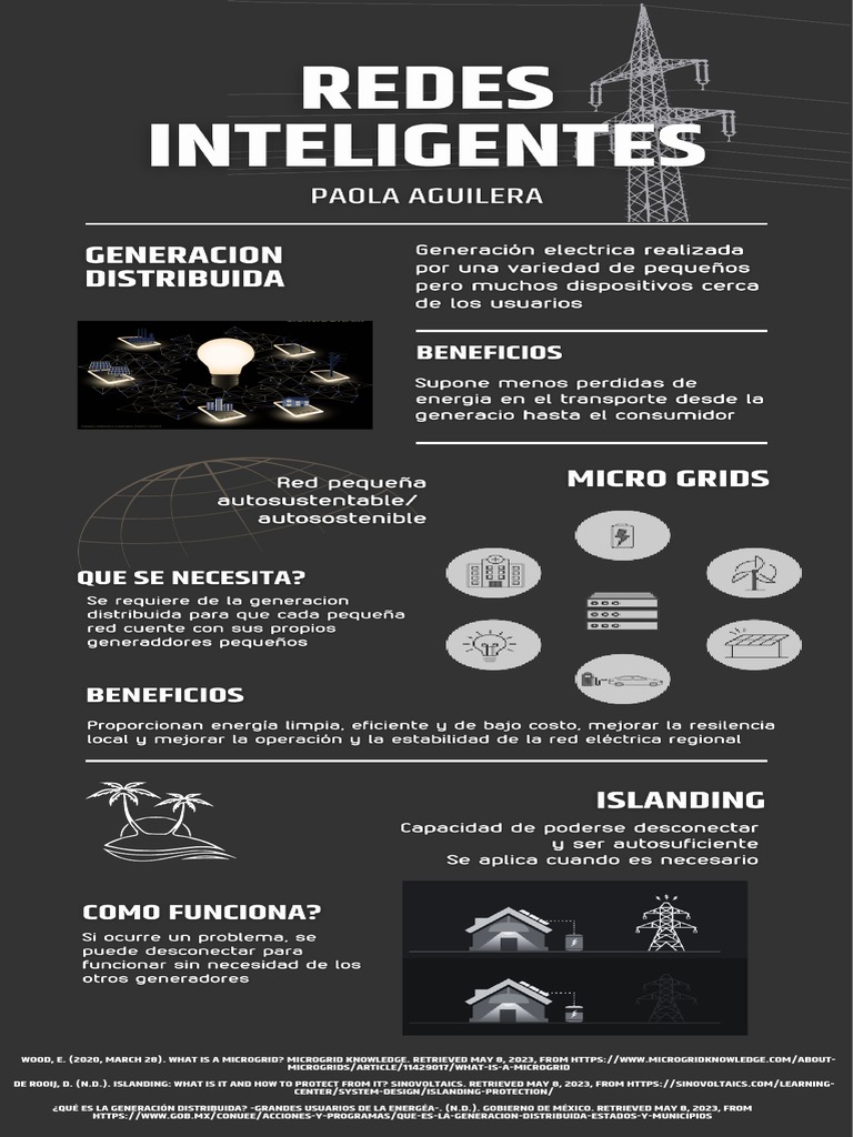 Infografia Microredes | PDF