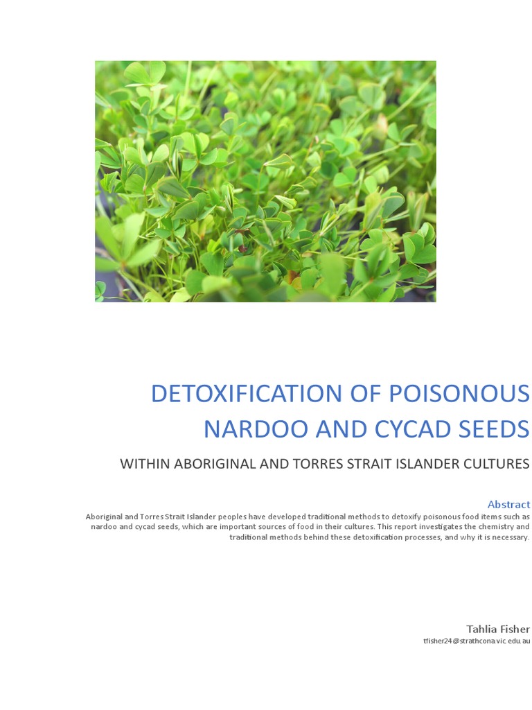 FISHER. T - Traditional Detoxification Processes of Poisonous Foods in ...