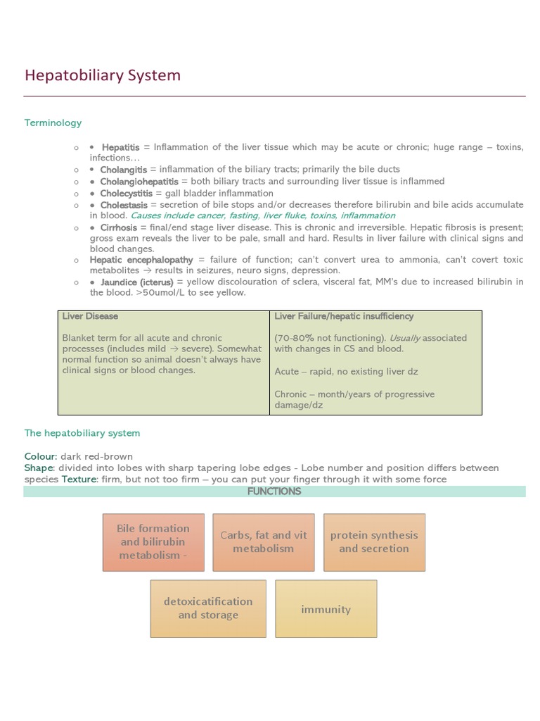 Hepatobiliary System Veterinary Pathology | PDF