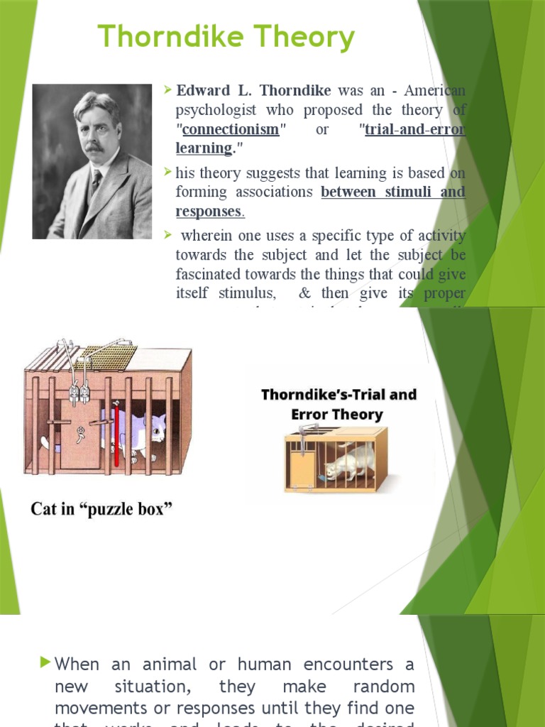 Thorndike Theory | PDF | Self-Improvement | Science & Mathematics