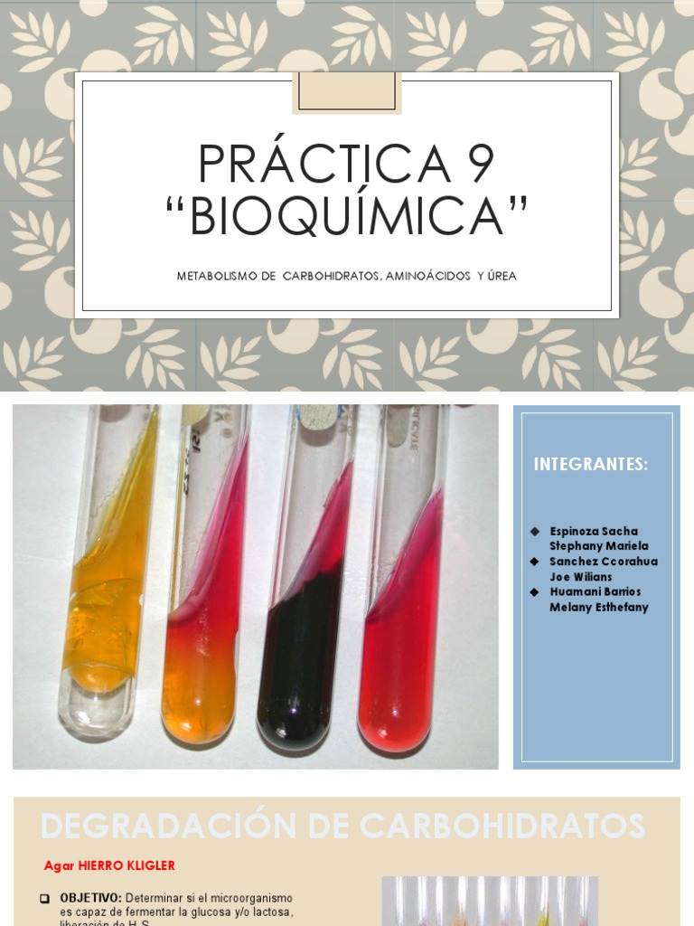 Lab 9 | PDF | Nitrito | Nitrato