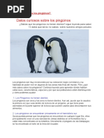 Cabo: El Pingüino Adorable de Madagascar | PDF