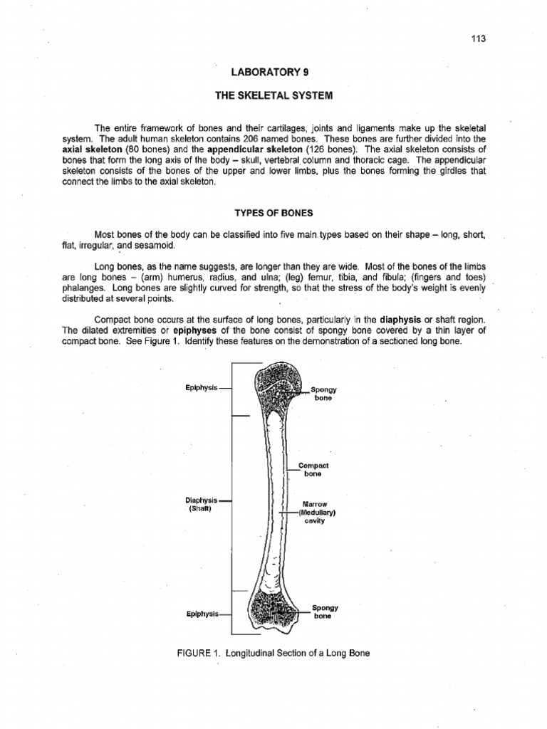 Lab 9 Answer Key | PDF