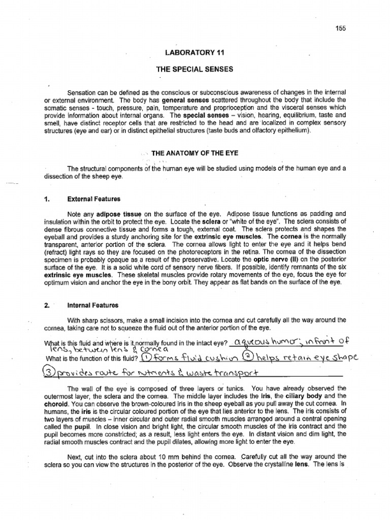 Lab 11 Answer Key | PDF