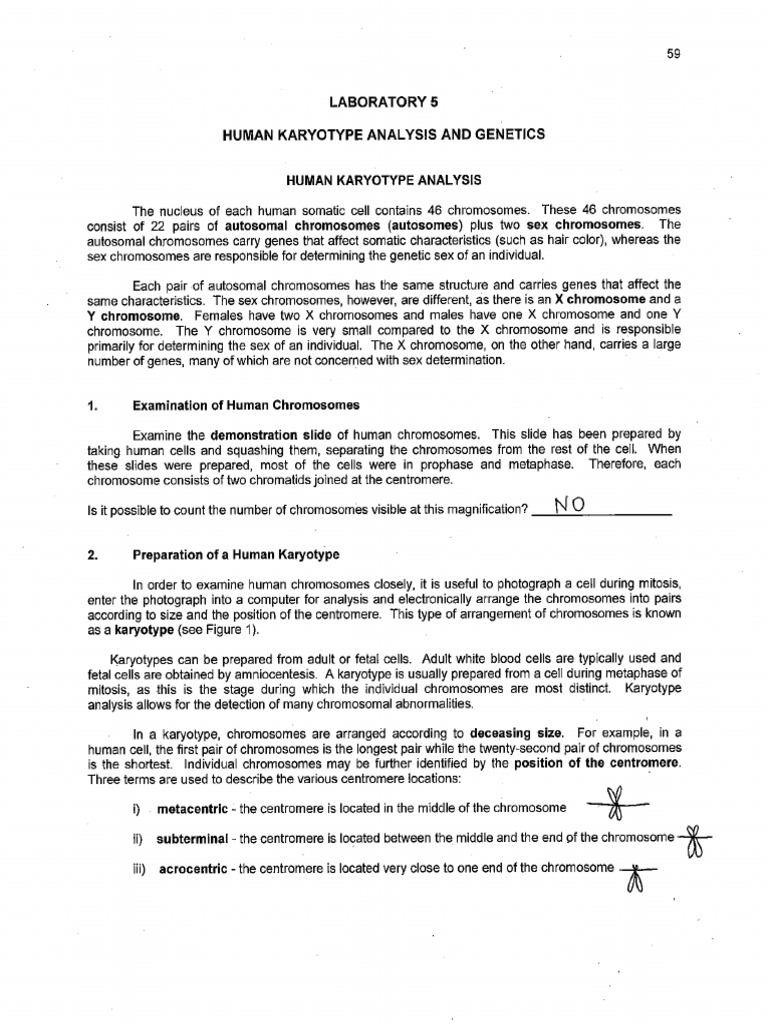 Lab 5 Answer Key Pdf