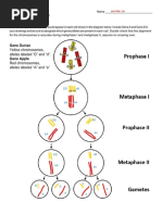 Geniventure Teacher Guide To Challenges | PDF | Dominance (Genetics ...