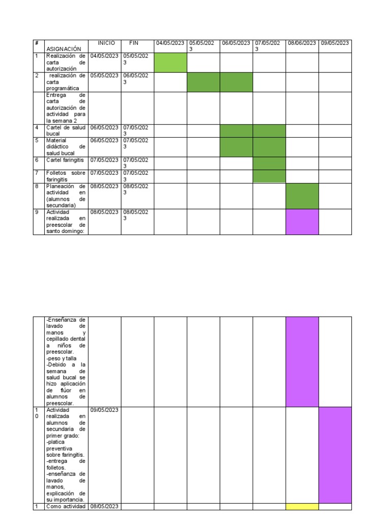 Carta Programatica | PDF