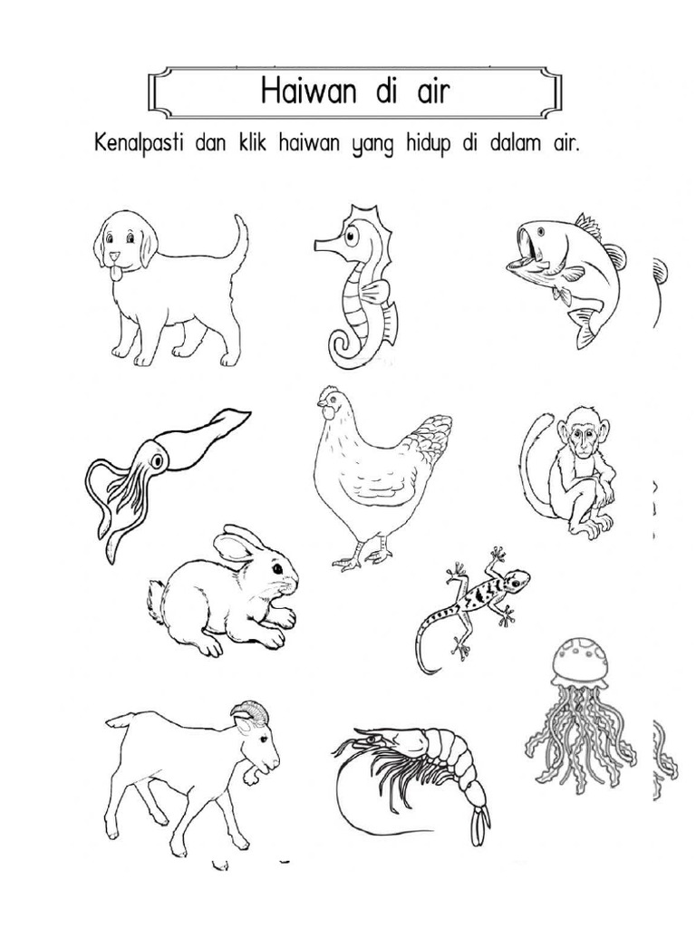 Haiwan Di Air | PDF