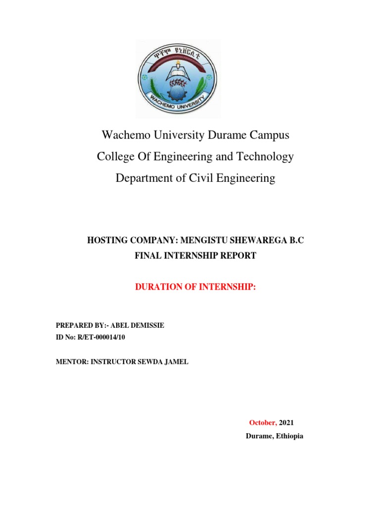 Abel Demissie Final Internship Report 1 | PDF