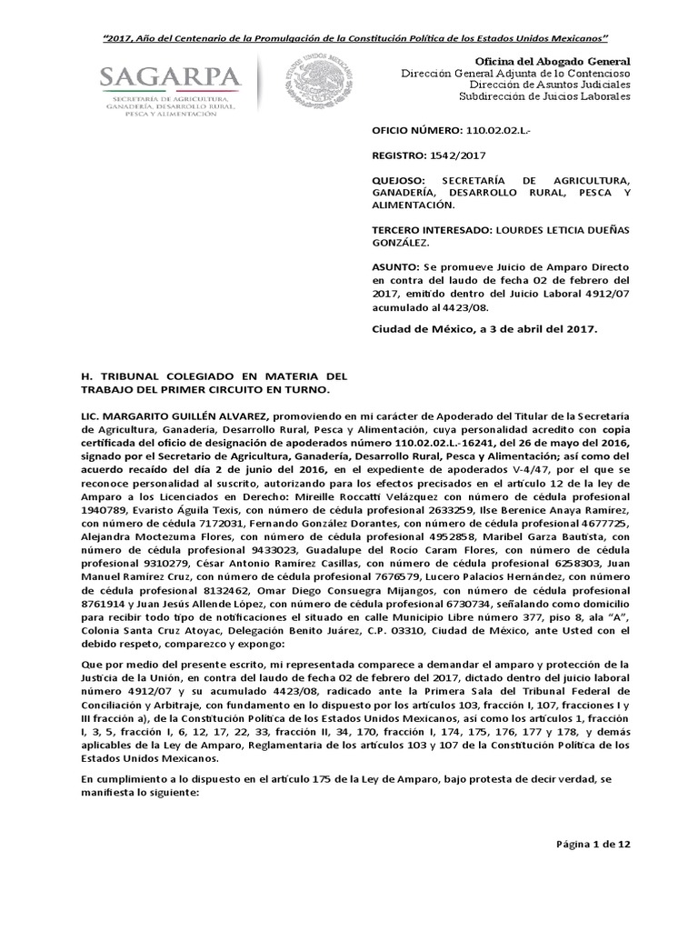 Amparo Directo | PDF | México | Regulación