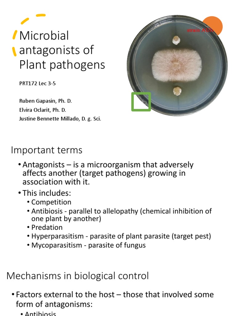 PPrt172 3-5 Plant Pathogen Antagonists | PDF | Plant Pathology | Pathogen