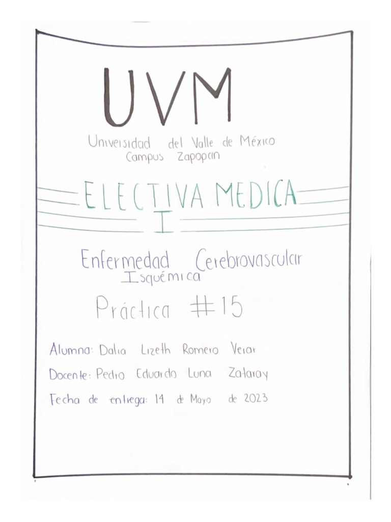 UVM | PDF