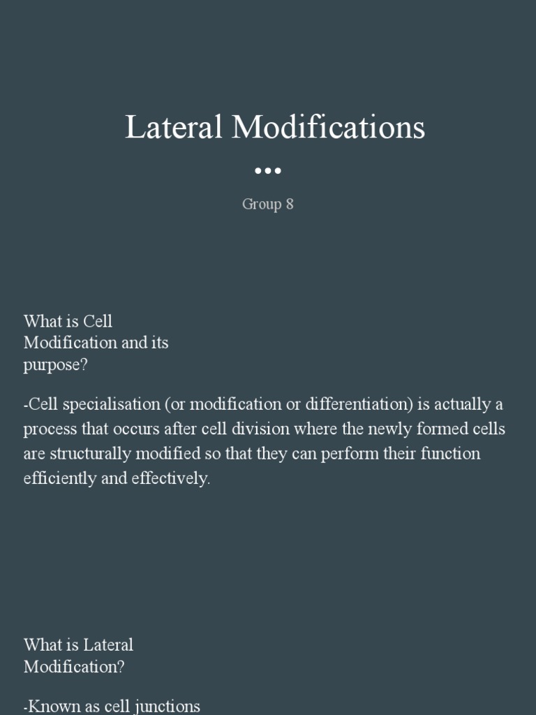 Lateral Modifications-1 | PDF
