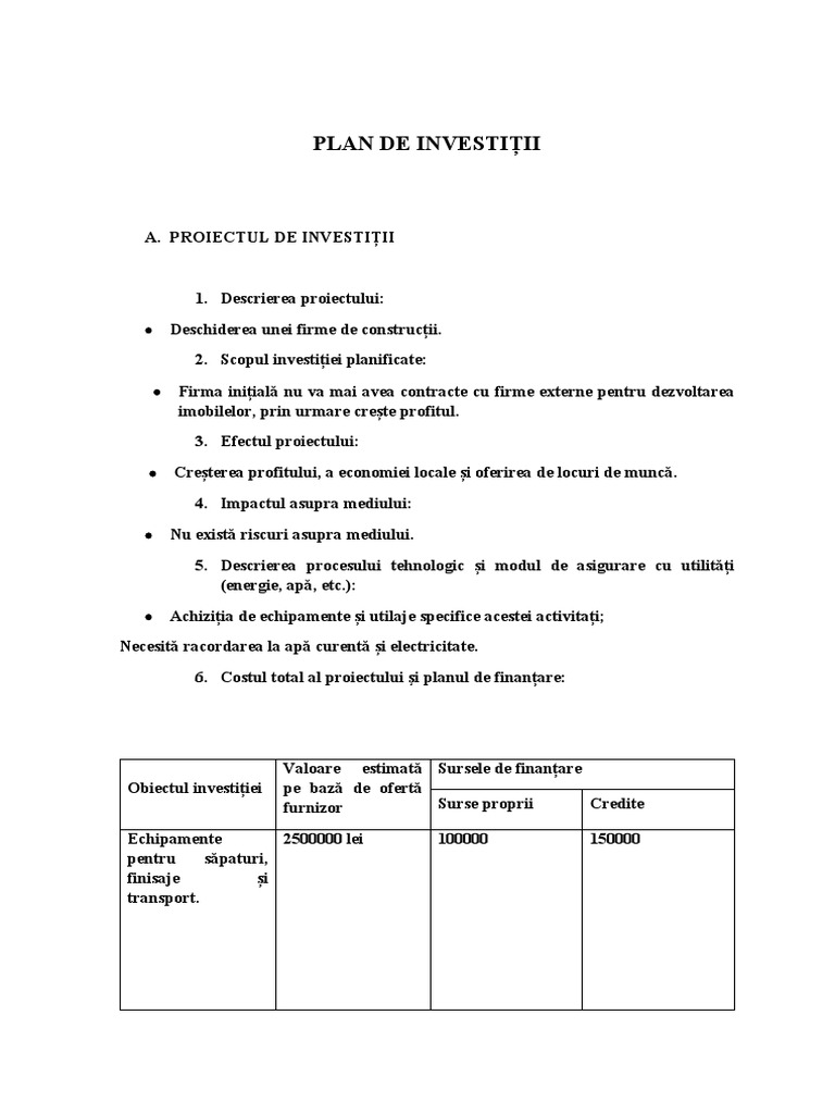 Cosmin Gabriel Bucur - Plan de Investiții Model | PDF