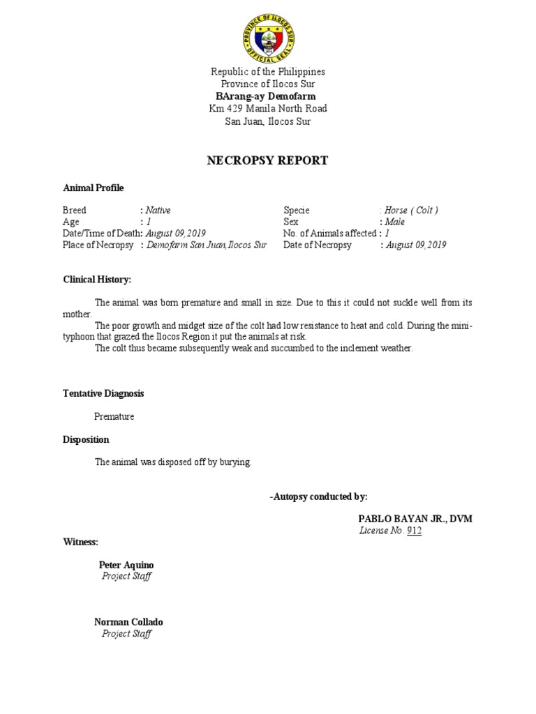 Necropsy Report for Horses in Ilocos Sur | PDF