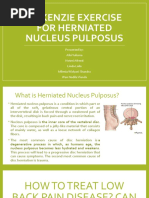 Williams Flexion Exercises Guide | PDF