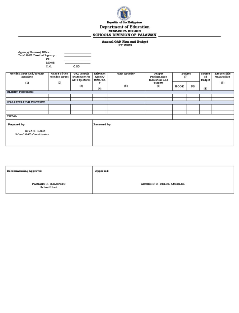 Annual GAD Plan and Budget Template | PDF