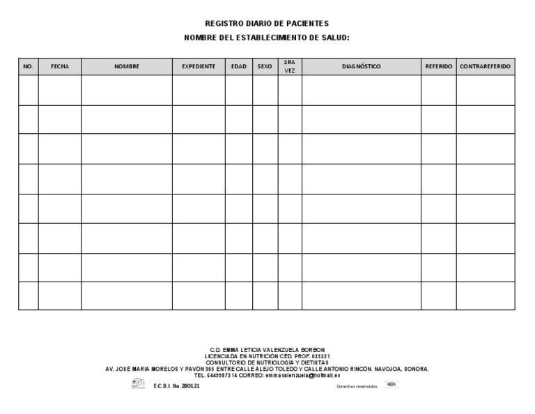 Registro Diario de Pacientes | PDF