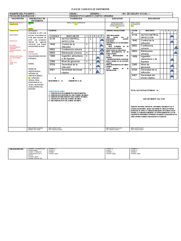Formato De Pae 1 Pdf Vejiga Urinaria Septicemia