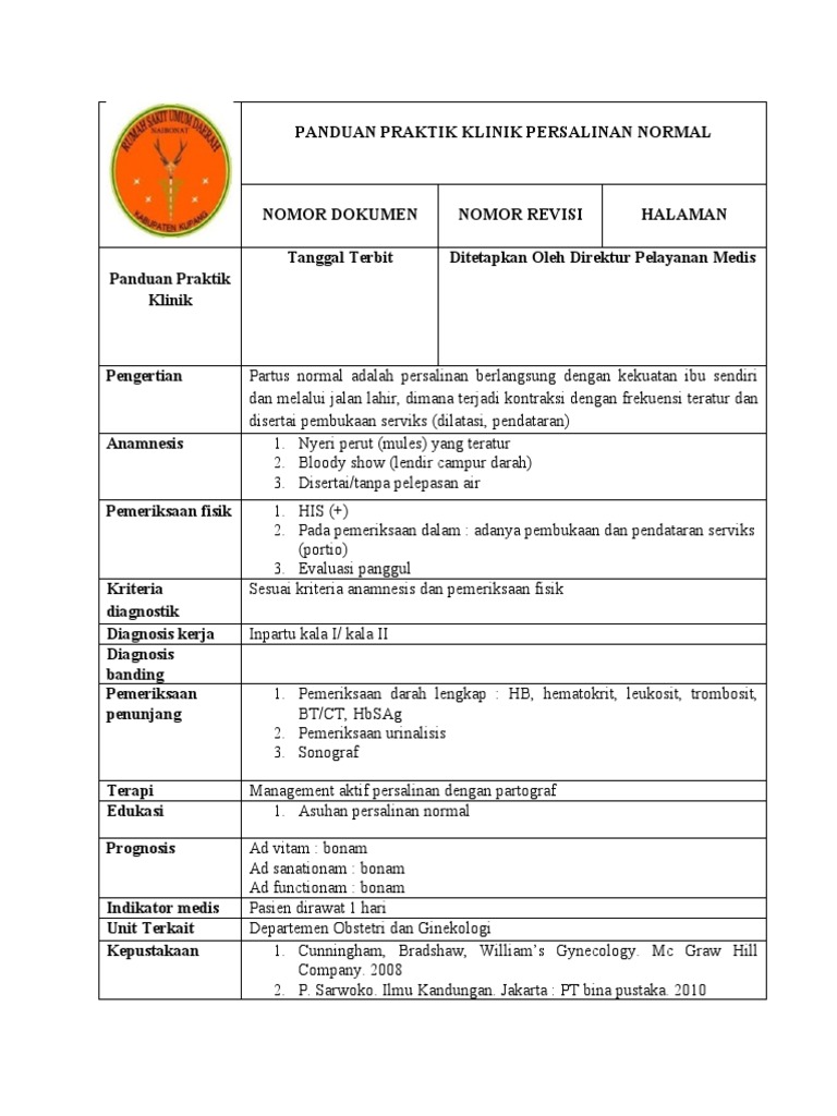 PPK Persalinan Normal | PDF