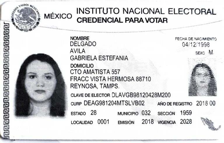 Credencial INE: Ejemplo y Formato | PDF