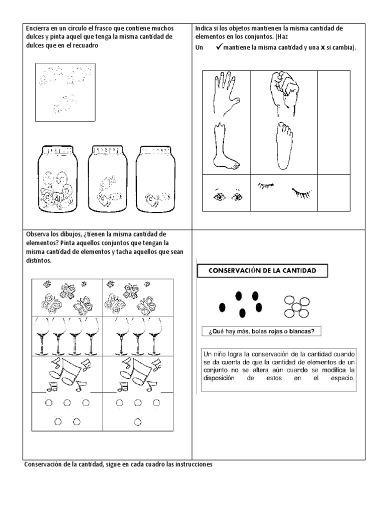 Conservacion Cantidad Apresto | PDF