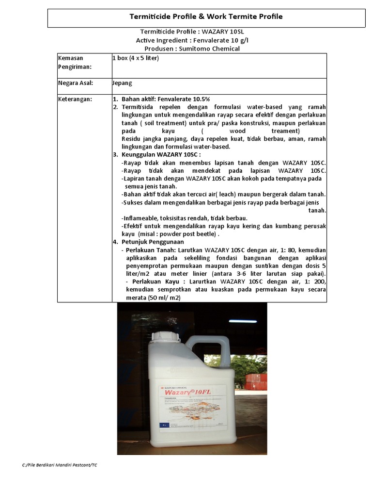 Pekerjaan Anti Rayap | PDF