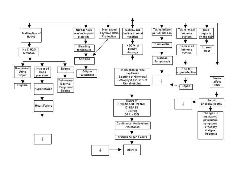 Pathophysiology of Chronic Renal Failure (condensed) part 2 | Kidney ...