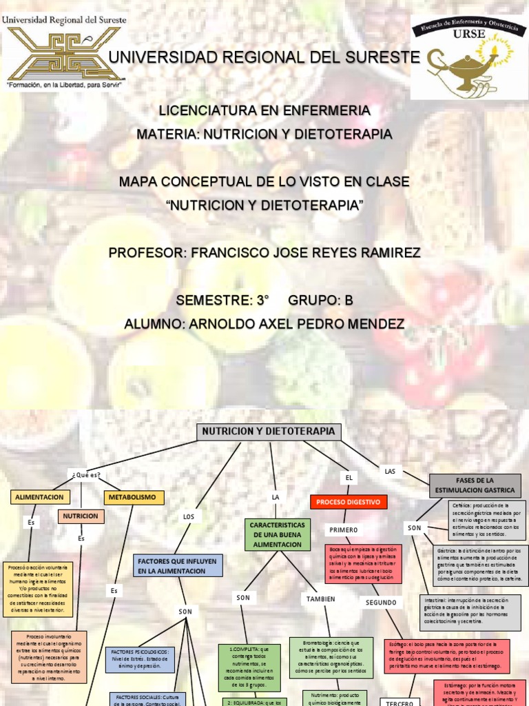 Nutricion y Dietoterapia Mapa Conceptual | PDF | Digestión | Alimentos