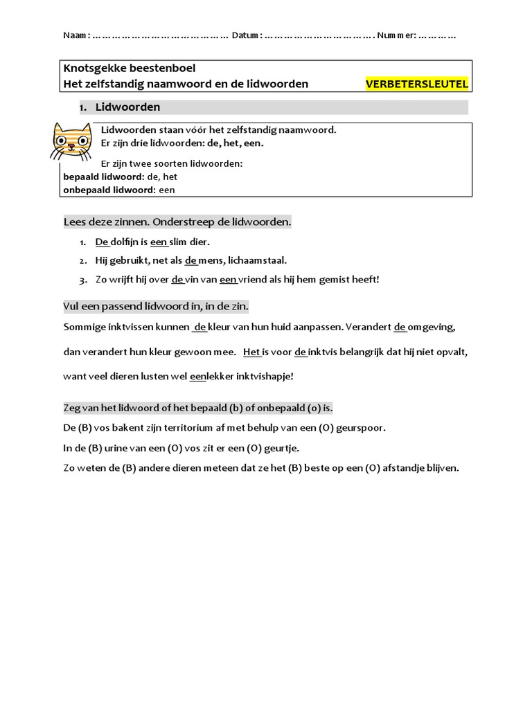 TAALBESCHOUWING - de Lidwoorden en Zelfstandige Naamwoorden ...
