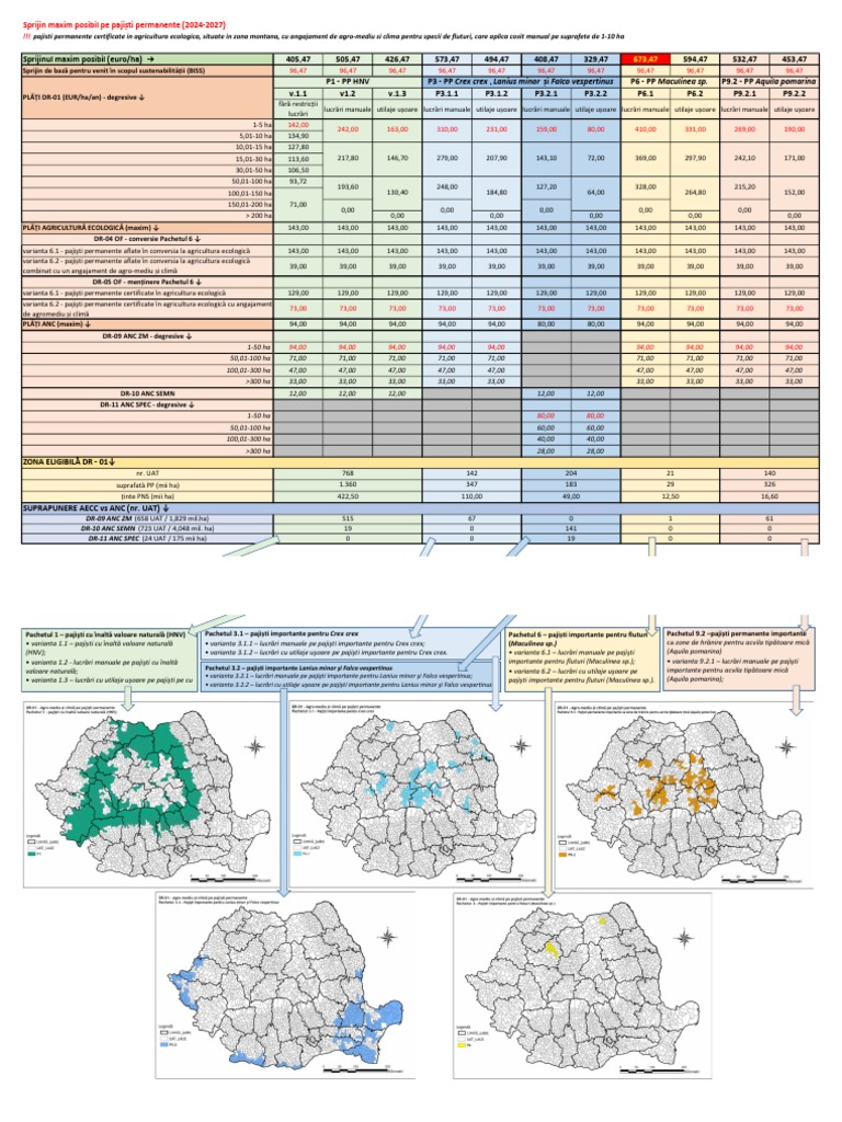 Cumulare Plati Pajisti Permanente 2024 | PDF