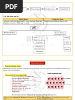 Plant Tissues Notes | PDF | Tissue (Biology) | Plant Stem
