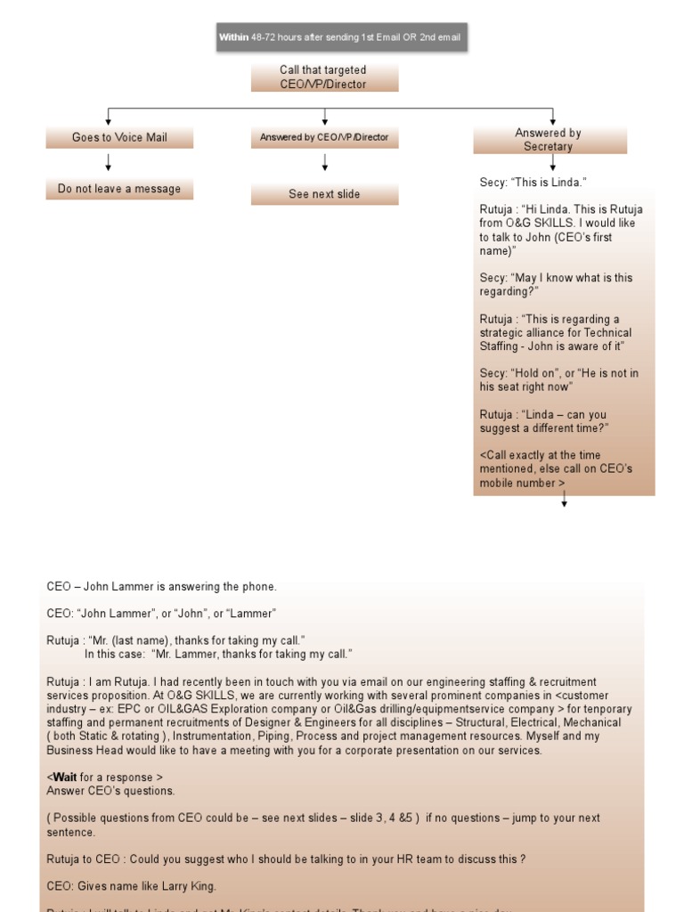 Phone Call Pitch - Rutuja | PDF | Business