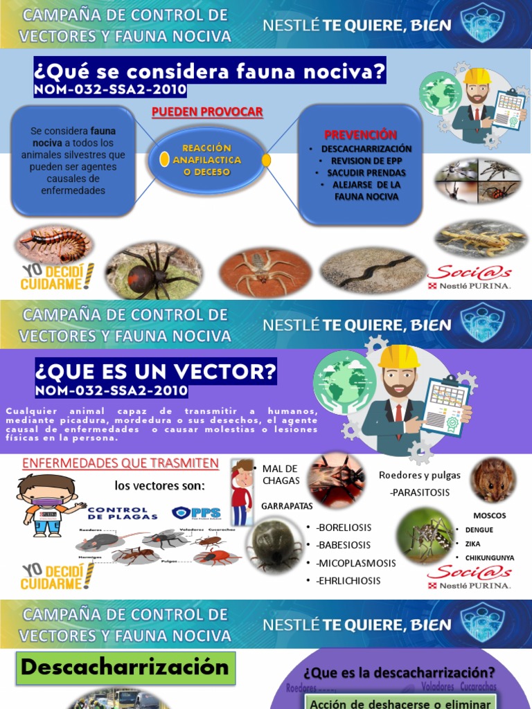 Campaña de Control de Vectores | PDF