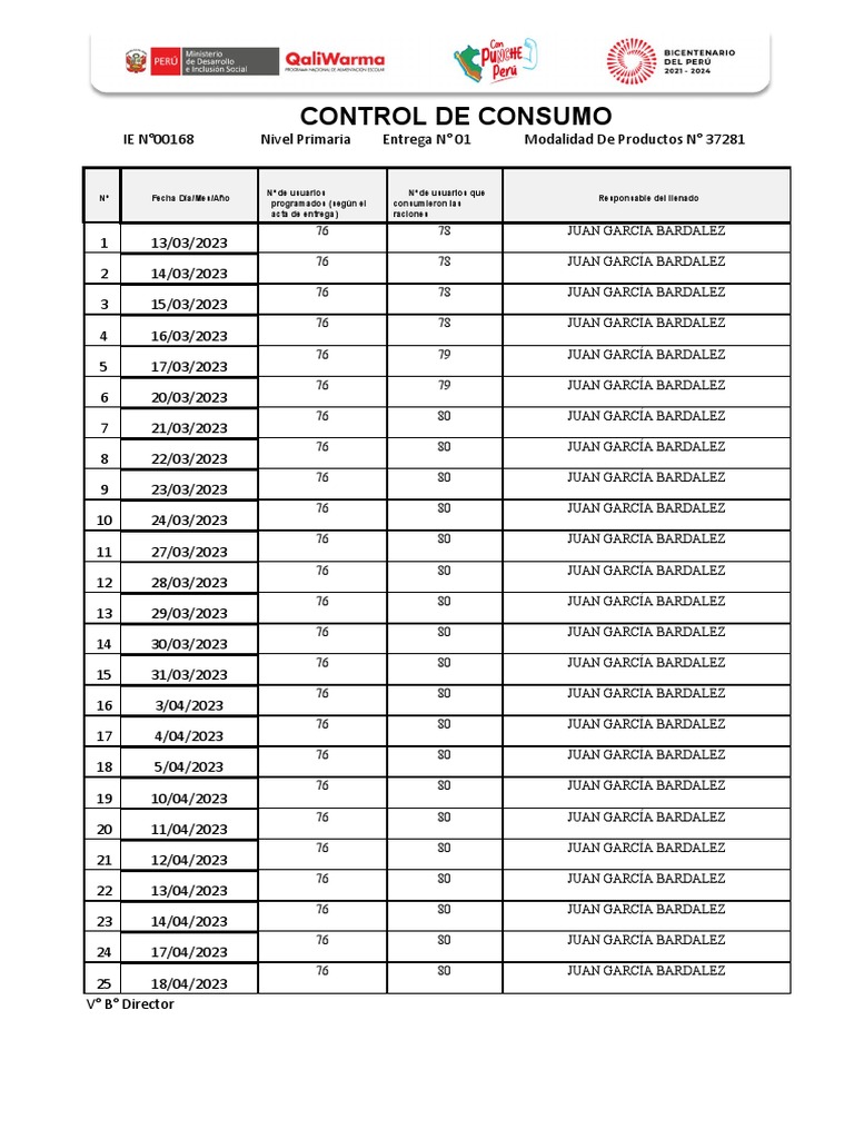 Formato Registro de Consumo | PDF