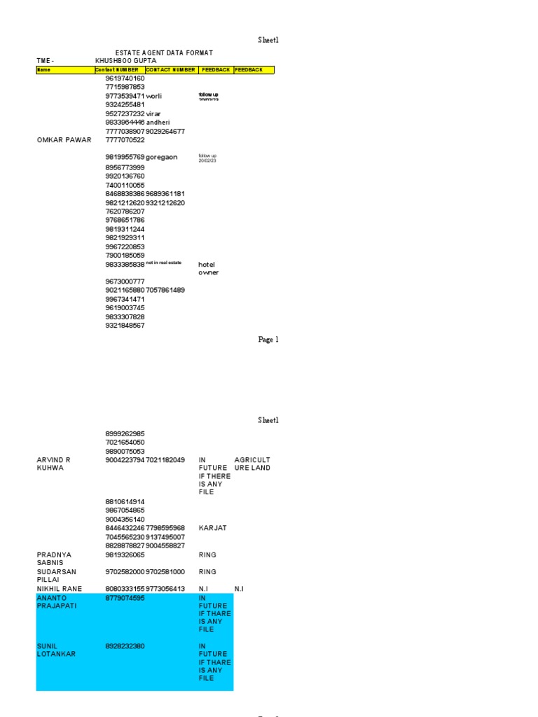 Estate Agent Data Format | PDF