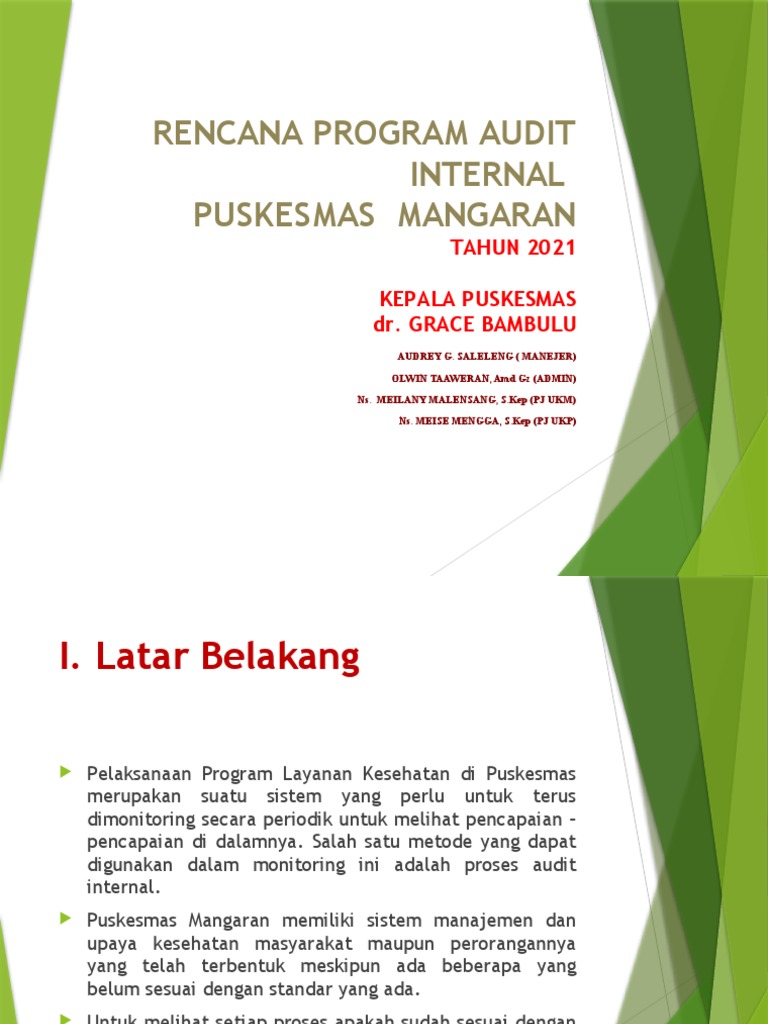 Tugas Rencana Program Audit Internal | PDF