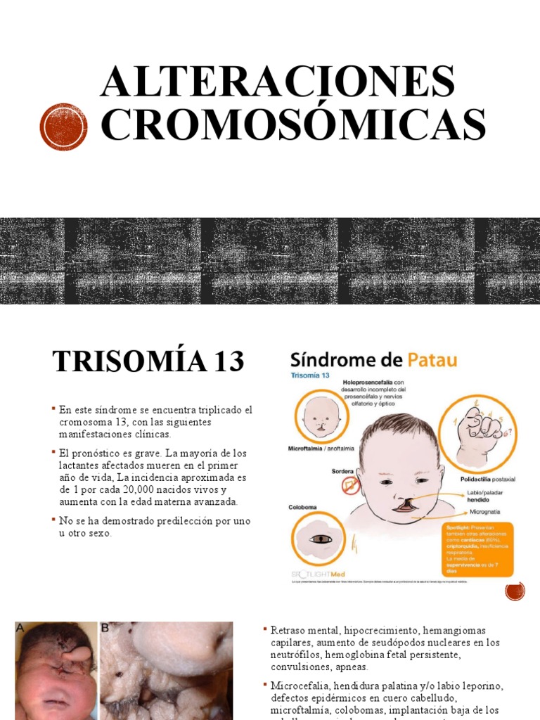 Alteraciones Cromosomicas | PDF | Reproducción | Genética