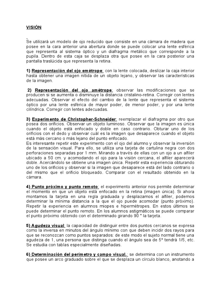 Sentido De La Vista PDF