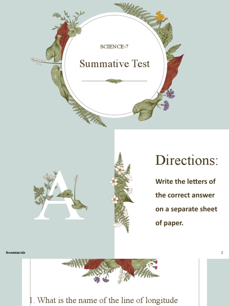 Summative Test | PDF