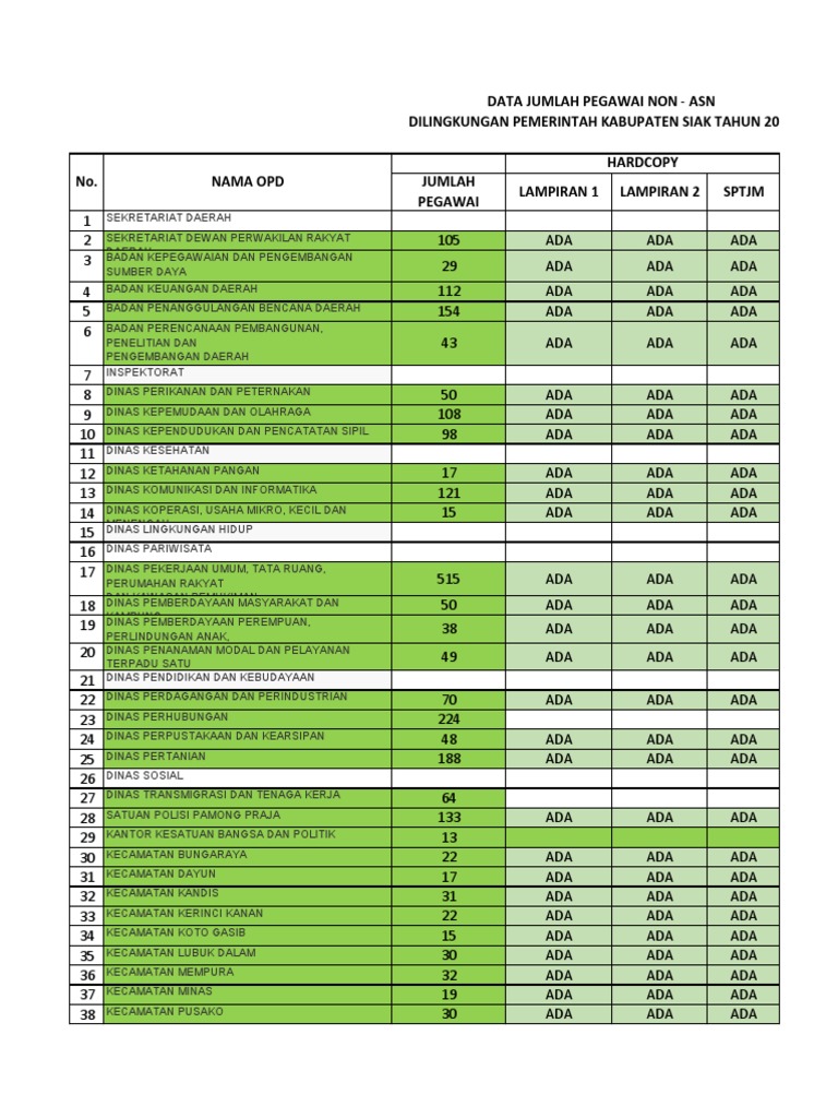 Rakap Data Pegawai Non Asn 2022 - II | PDF