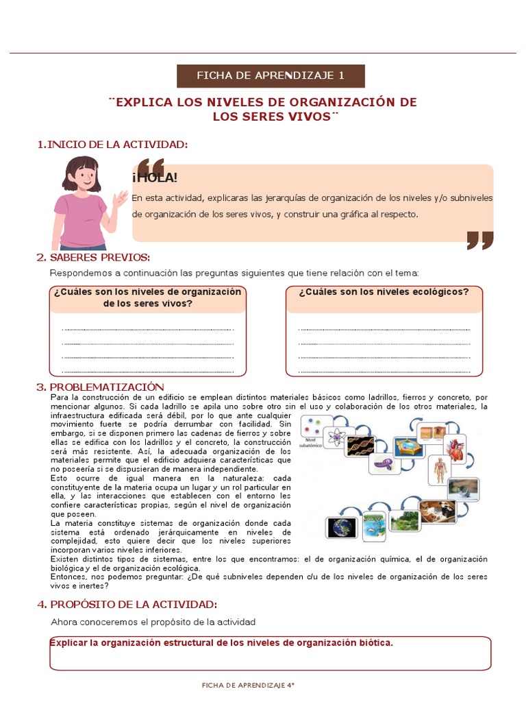 Ficha de Aprendizaje #1 CT 4° | PDF