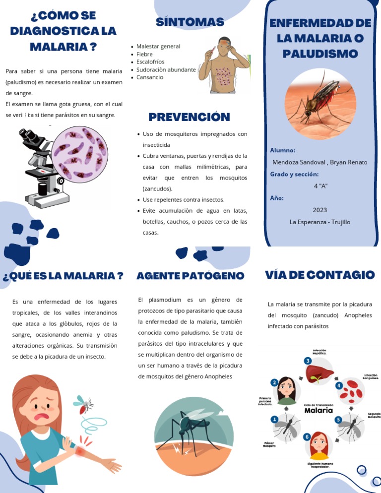 Infografia de La Malaria | PDF | Malaria | Microbiología