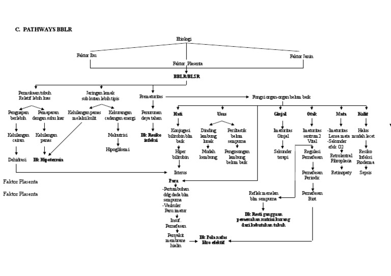 Pathways BBLR pada Bayi Prematur | PDF