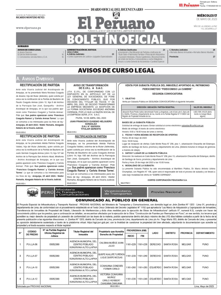 RECTIFICACIÓN DE PARTIDA - BOletin - 20230517 Diario El Peruano | PDF