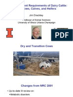 CVB Table Booklet Feeding of Ruminants 2022 | PDF | Dairy Cattle ...
